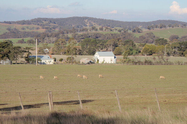 Macedon Ranges Chauffeur Service | Luxury Transfers